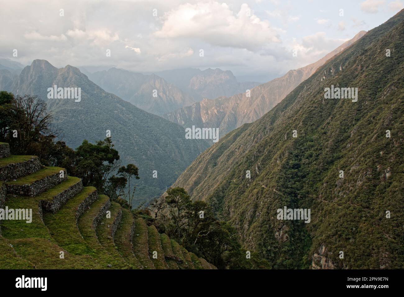 The ruins of Wiñaywayna, Cusco Department, Peru Stock Photo - Alamy