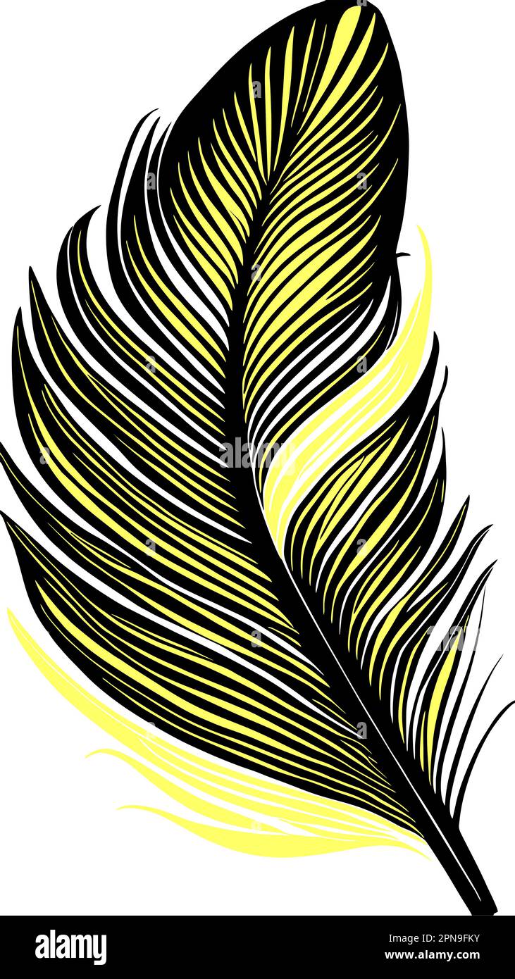 simple graphic drawing black and yellow bird feather, sketch, logo ...