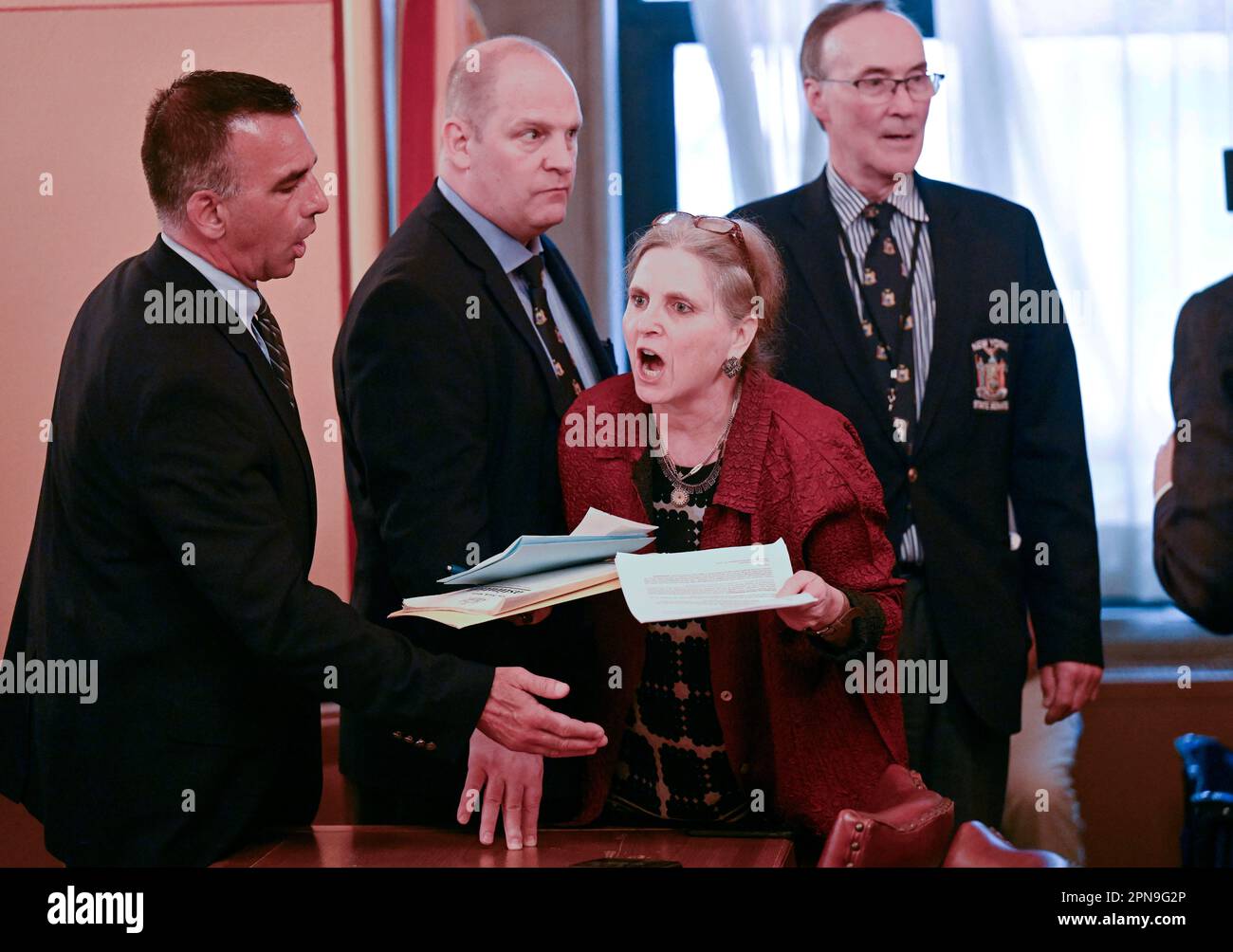 New York state Senate Sargent at arms surround Elena Sassower who ...