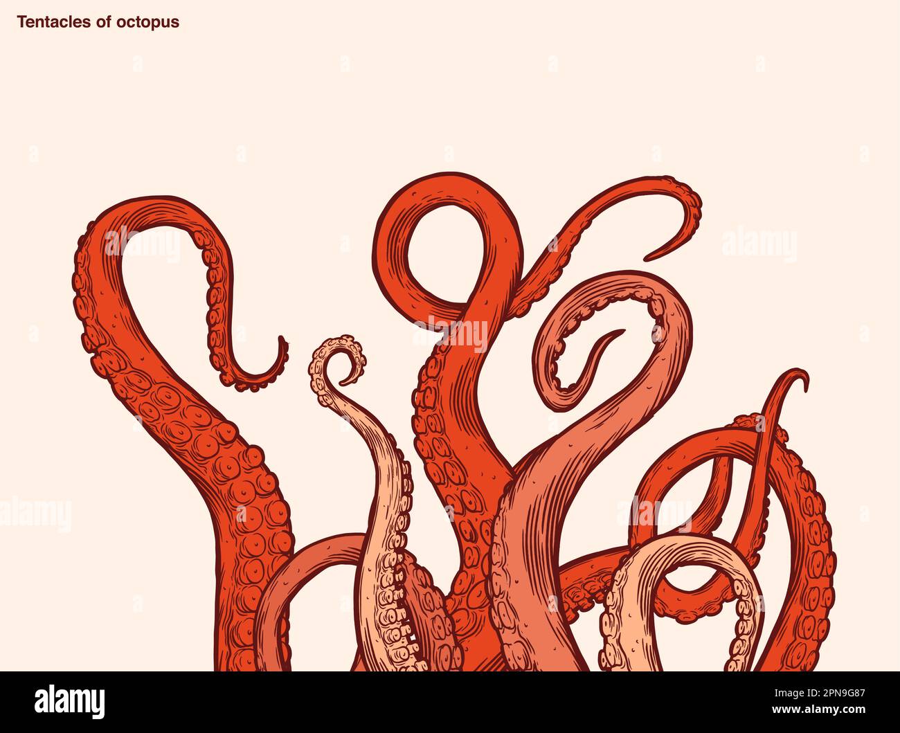 Octopus like tentacles Stock Vector Images - Alamy