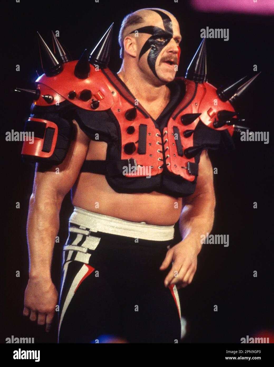 1993 Hawk Photo by John Barrett/PHOTOlink Stock Photo - Alamy