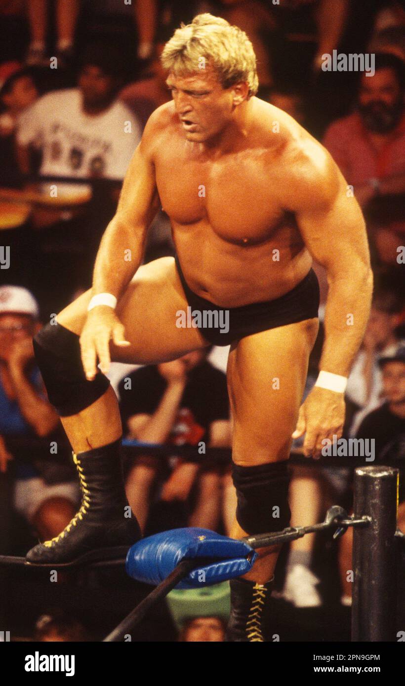 Paul orndorff hi-res stock photography and images - Alamy