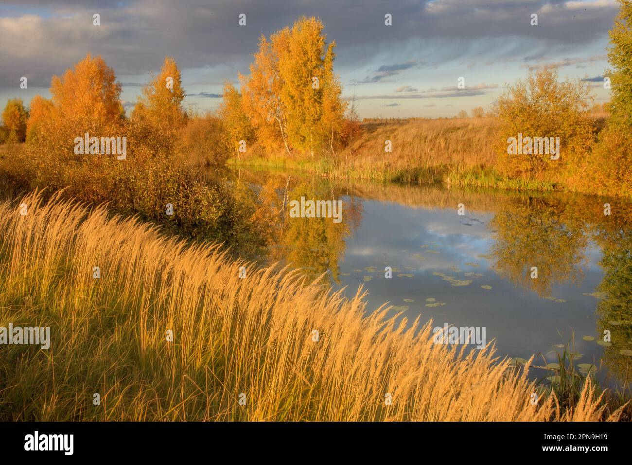 Russia, Yaroslavl region. Autumn landscape. Autumn is the time when ...