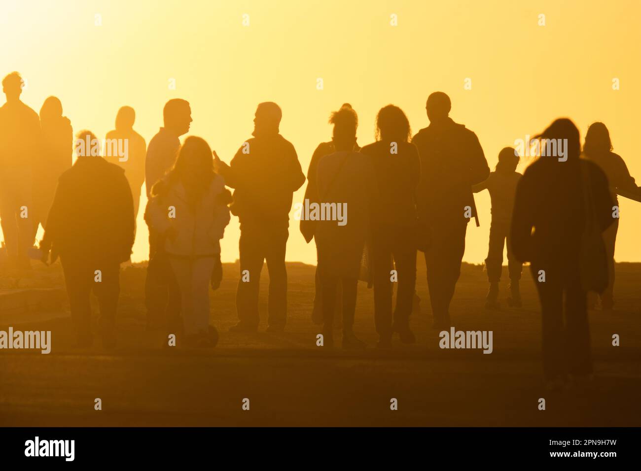 Silhouettes of people in yellow light of a bright orange sunset Stock ...