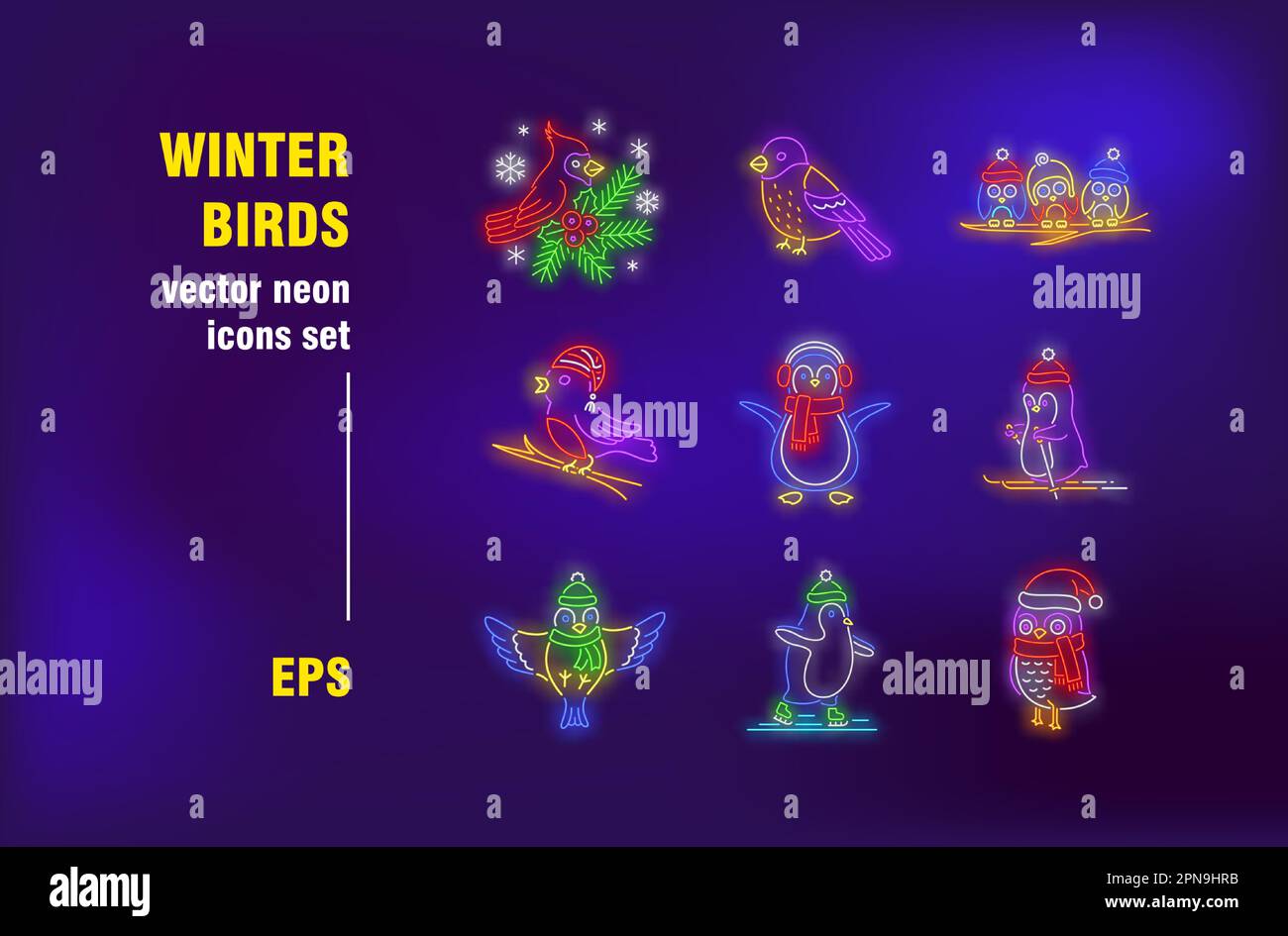 Winter birds neon signs set Stock Vector Image & Art - Alamy