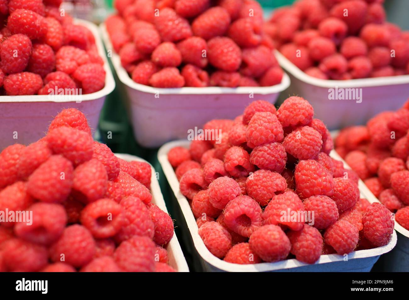 strawberry raspberries and blackberries on the market in containers ...