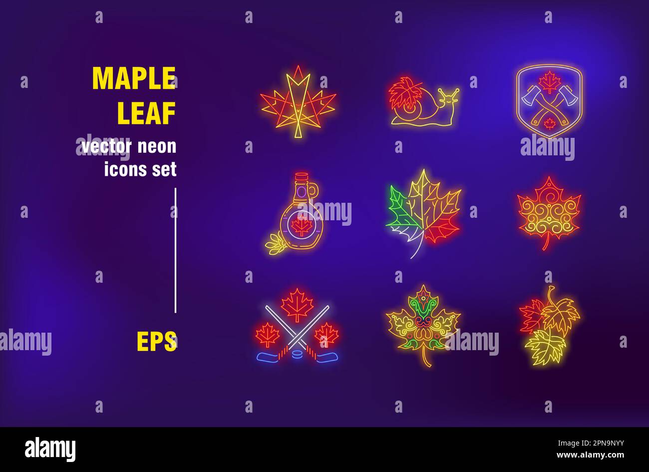 Maple leaf neon signs set Stock Vector Image & Art - Alamy