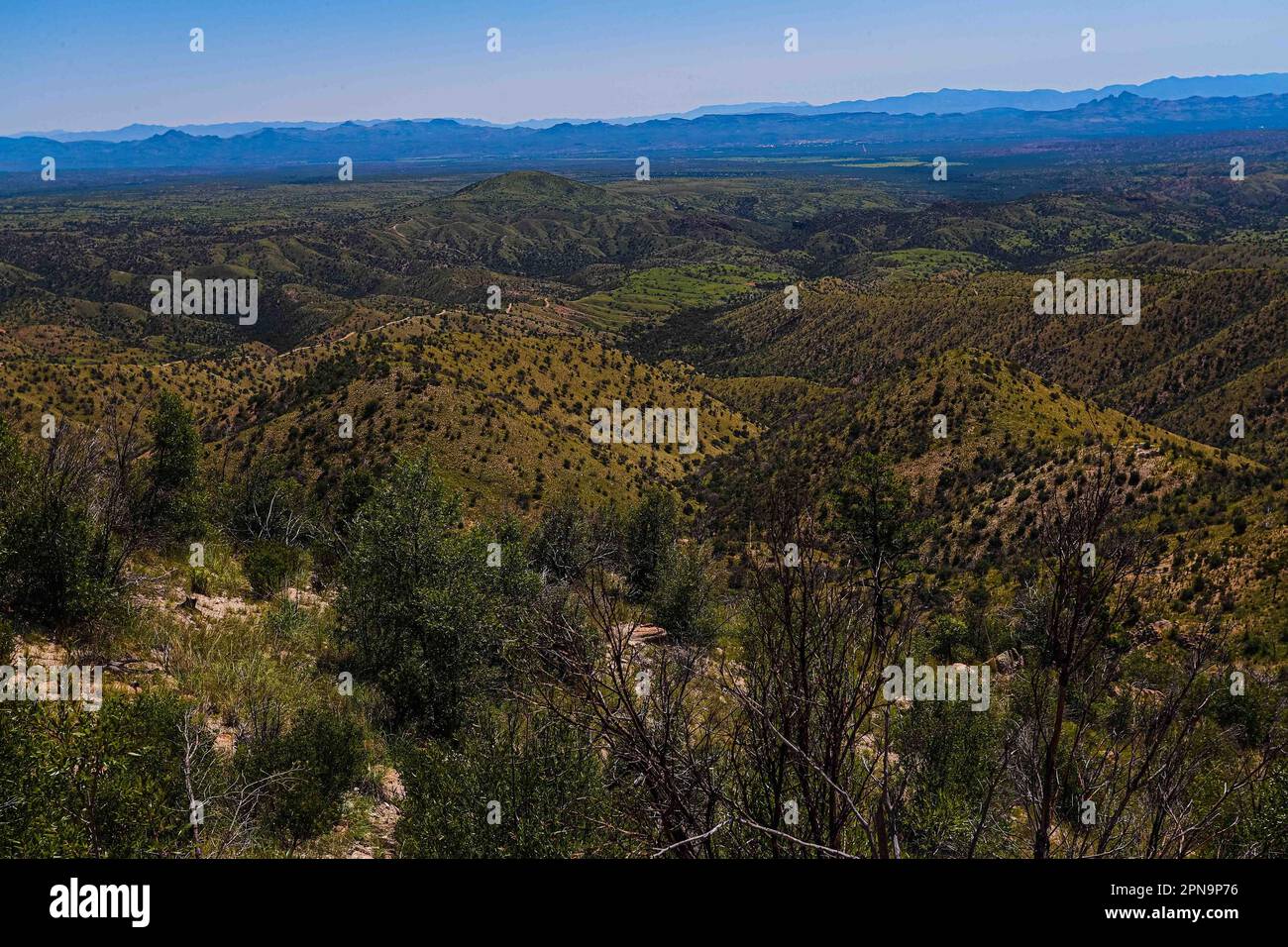 Las ciencias naturales hi-res stock photography and images - Alamy