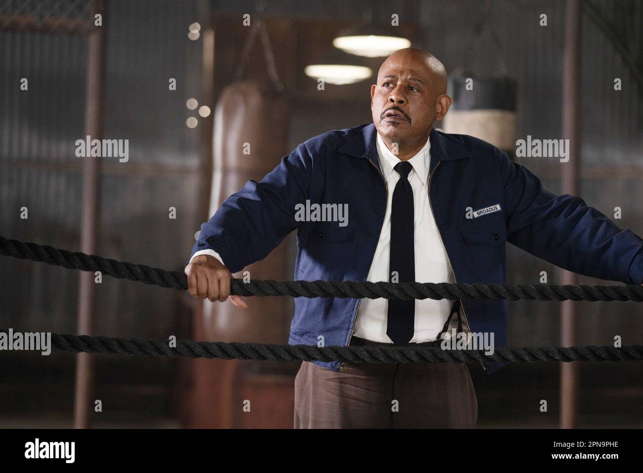 BIG GEORGE FOREMAN: THE MIRACULOUS STORY OF THE ONCE AND FUTURE ...