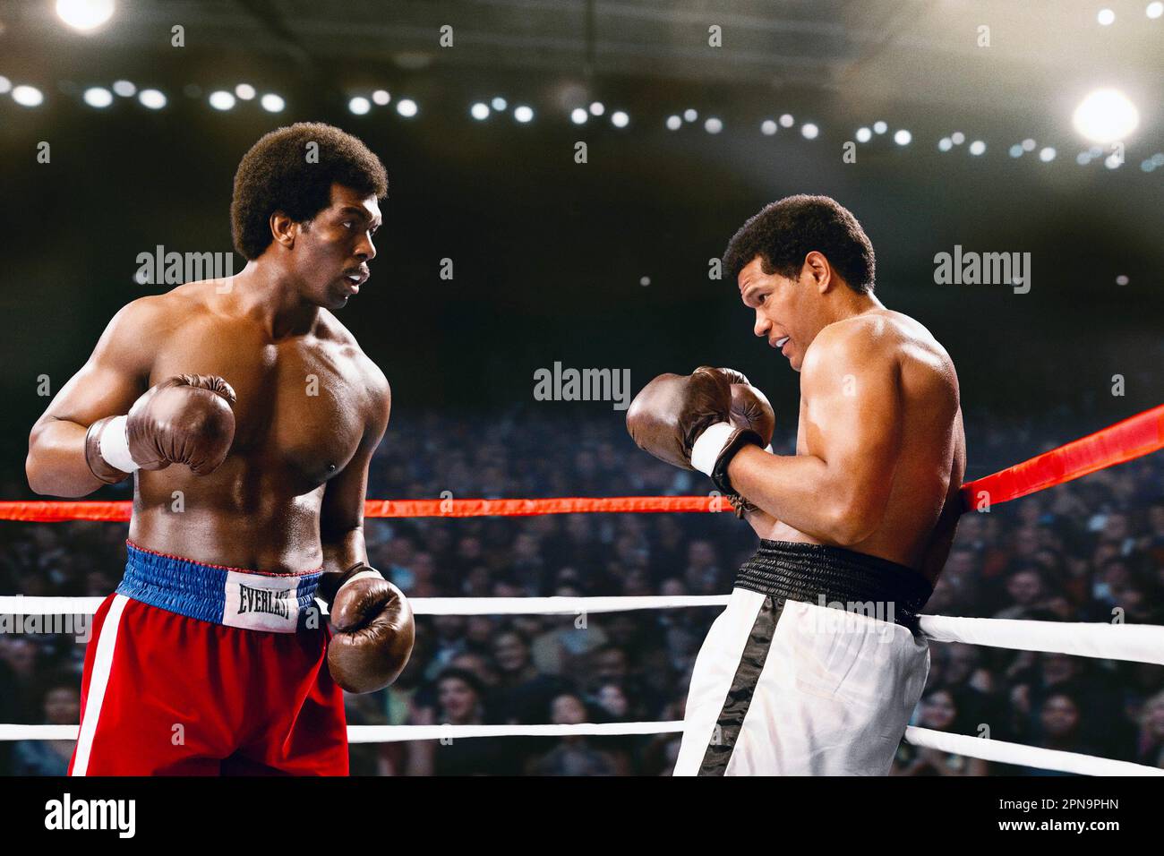 BIG GEORGE FOREMAN: THE MIRACULOUS STORY OF THE ONCE AND FUTURE ...