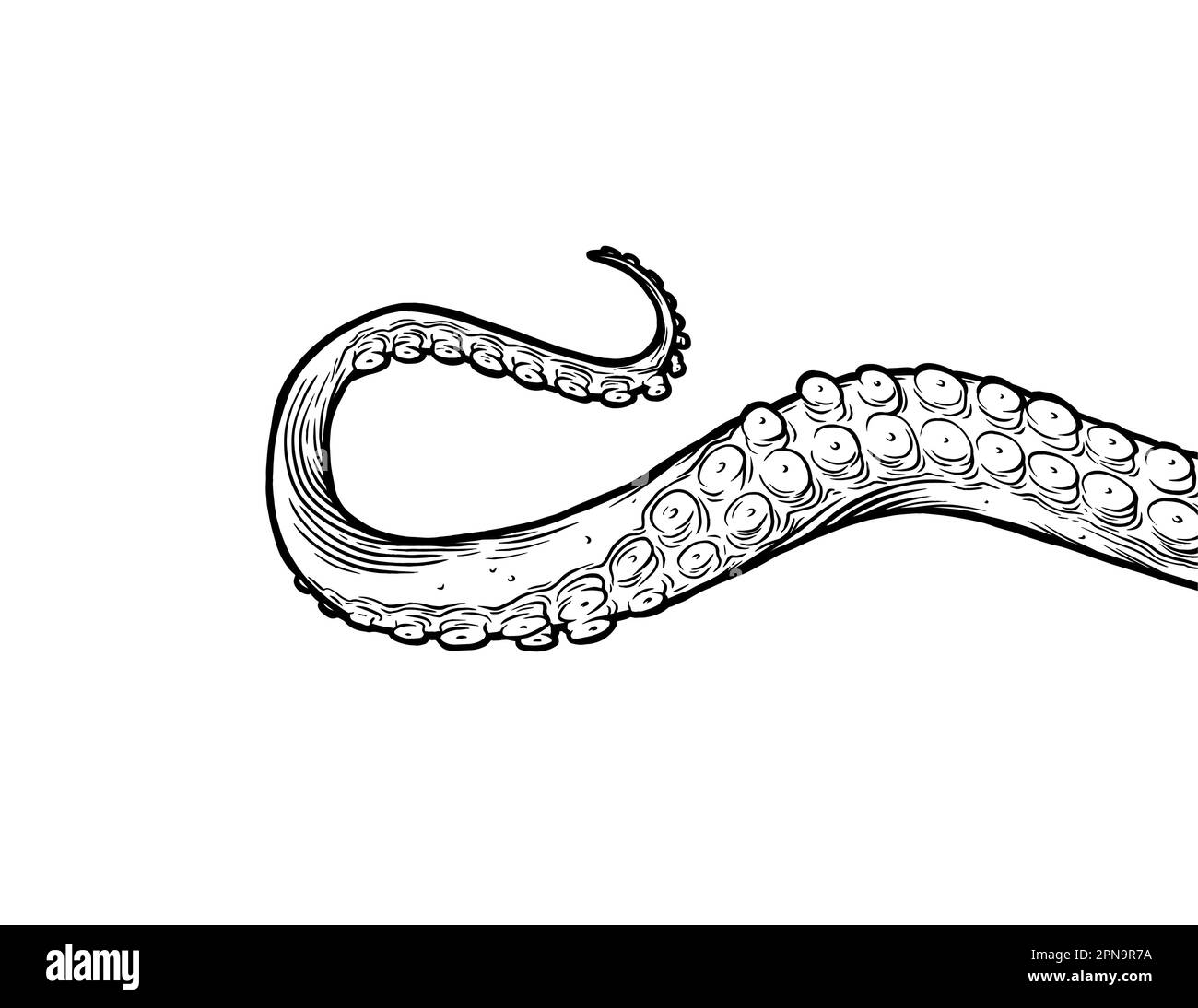 Tentacles out of ocean Black and White Stock Photos & Images - Alamy