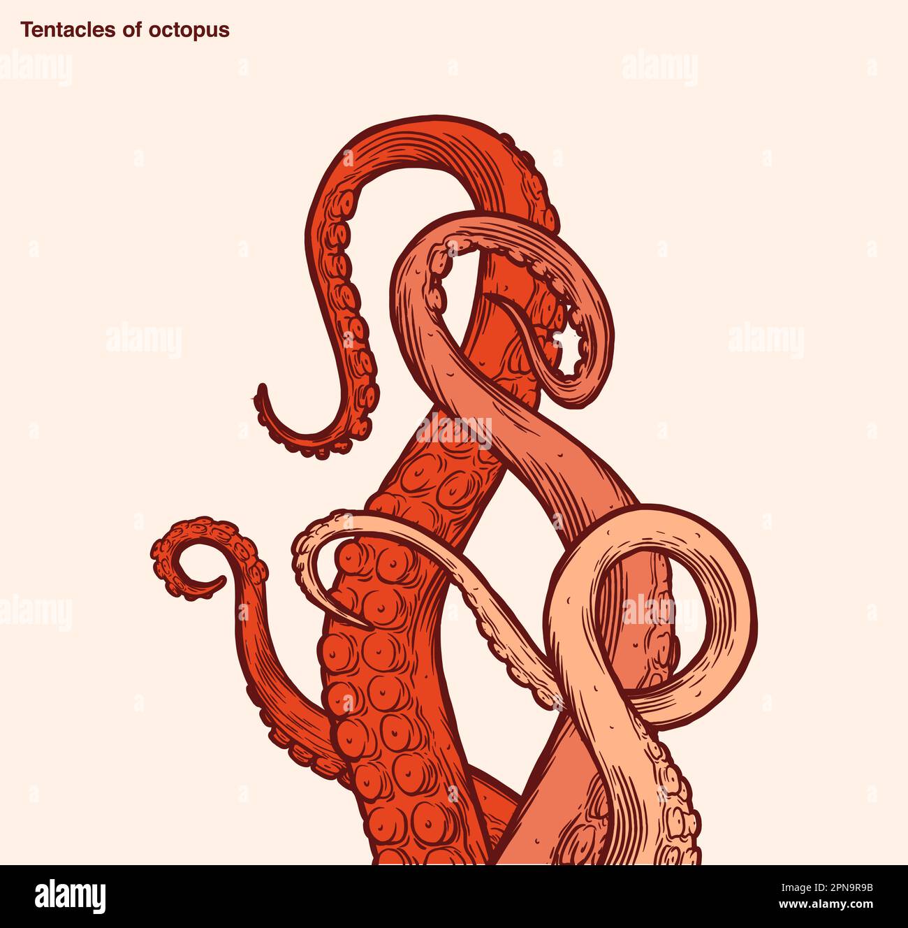 Tentacle alien monster Stock Vector Images - Alamy