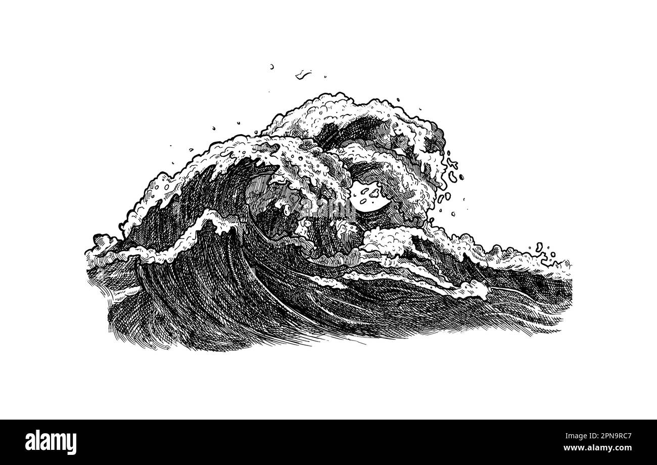 Sea wave sketch. Vintage hand drawn ocean tidal storm waves isolated on ...