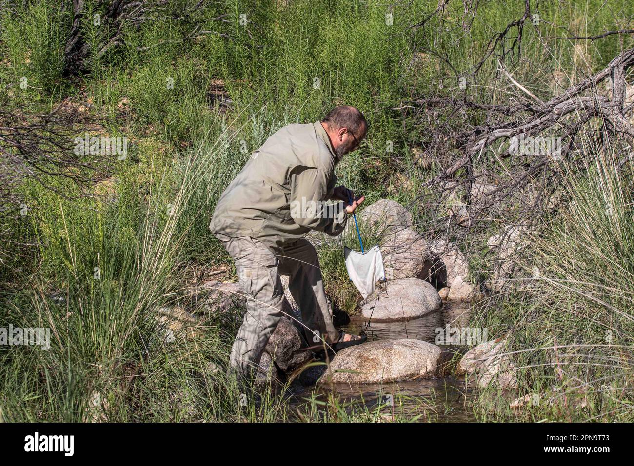 John Eric Falafal seeks to catch reptiles, fish and amphibians in the ...