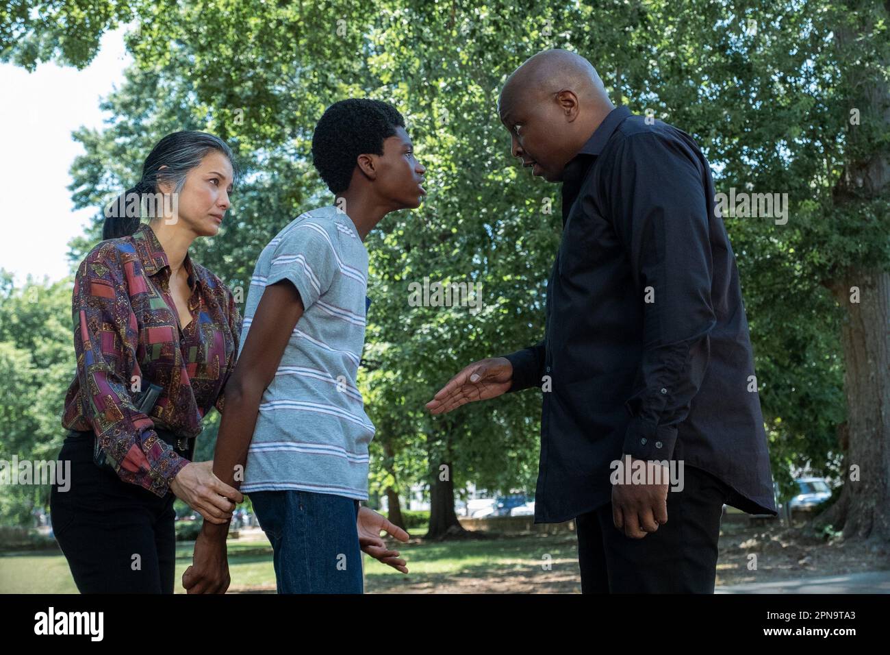 Alston Black Family Tree The Alston | Artisan Built Communities