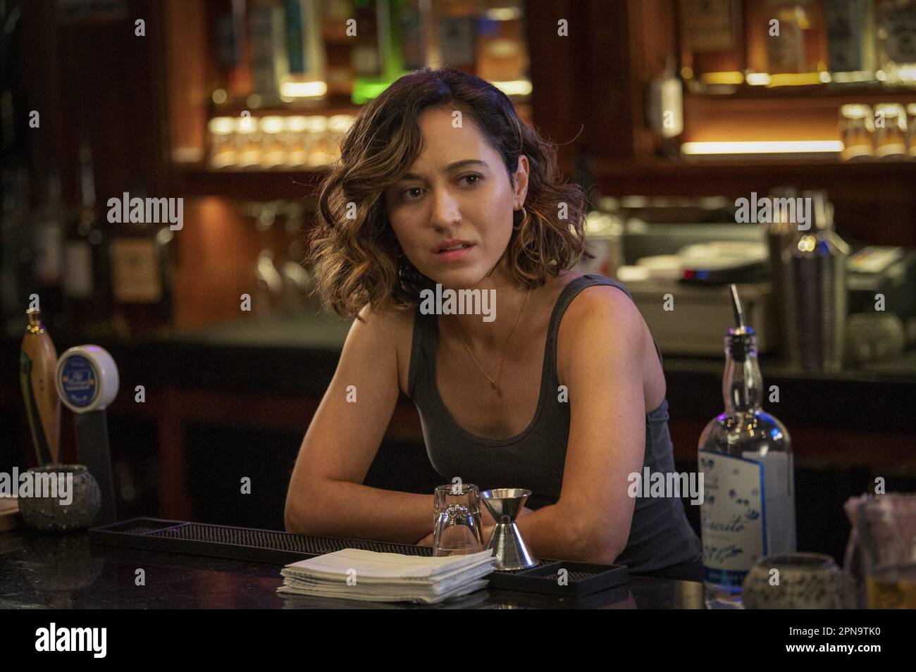 LUCKY HANK, Sara Amini, The Goose Boxer', (Season 1, ep. 104, aired Apr ...