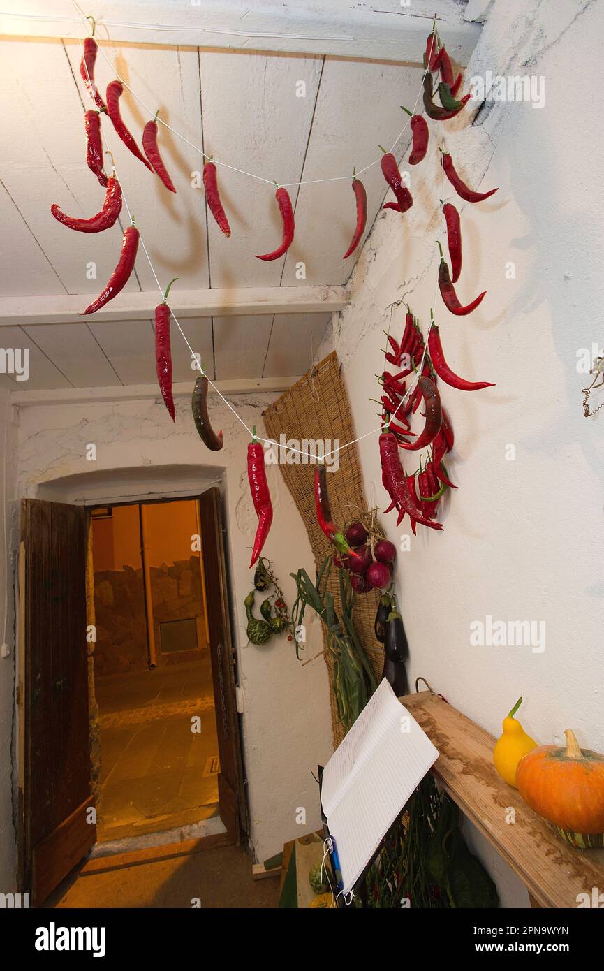 Garland Of Dried Red Hot Peppers Stock Photo - Alamy