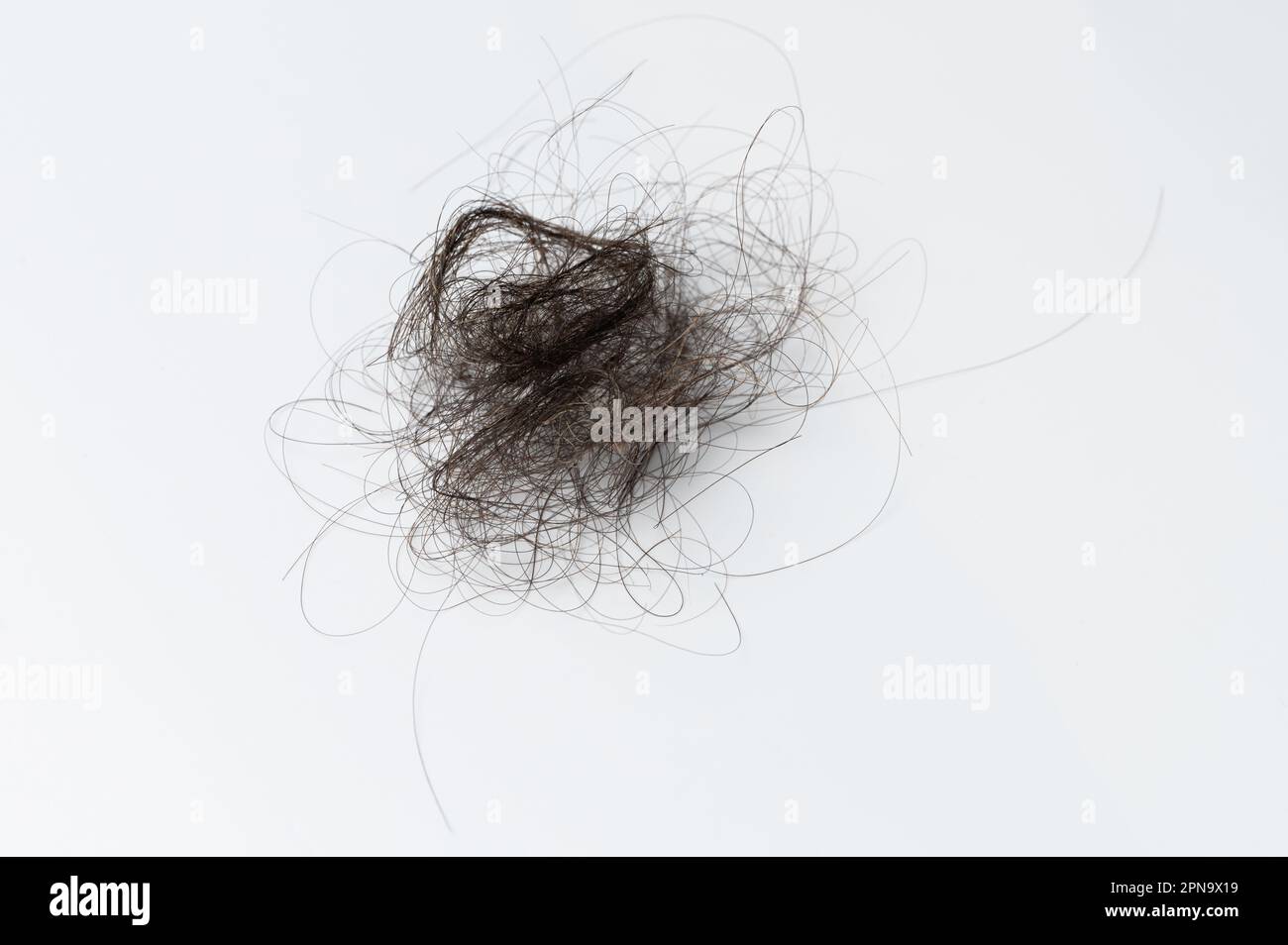 Dark lost woman hair turf isolated on white studio background close up ...