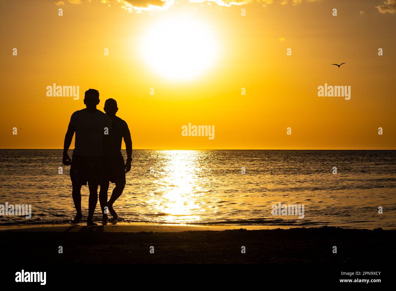 Colorful sunset walking silhouette hi-res stock photography and images ...