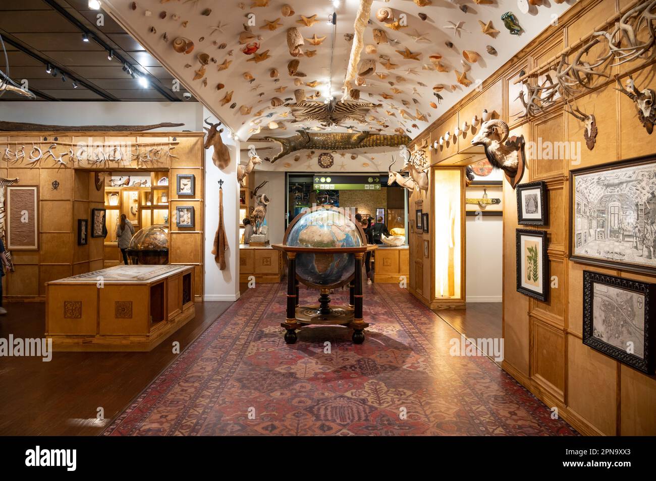 Houston, Texas - April 7, 2023: Exhibits at the Houston Museum of ...