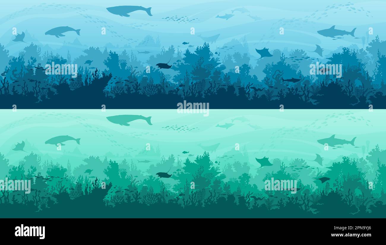 Underwater landscape silhouette backgrounds, fishes, manta ray and ...