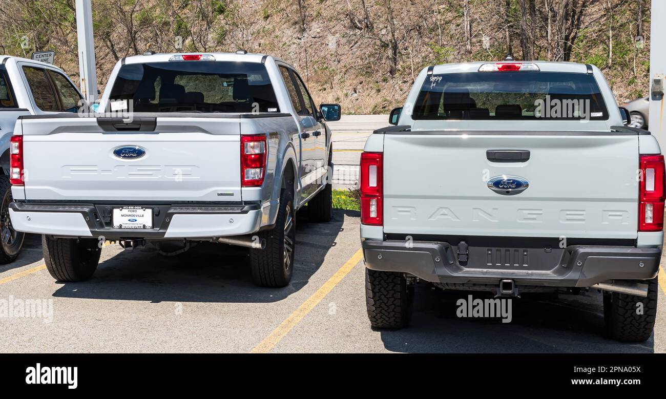 Two new, white Ford pick up trucks, a Ranger and an F150 for sale at a ...