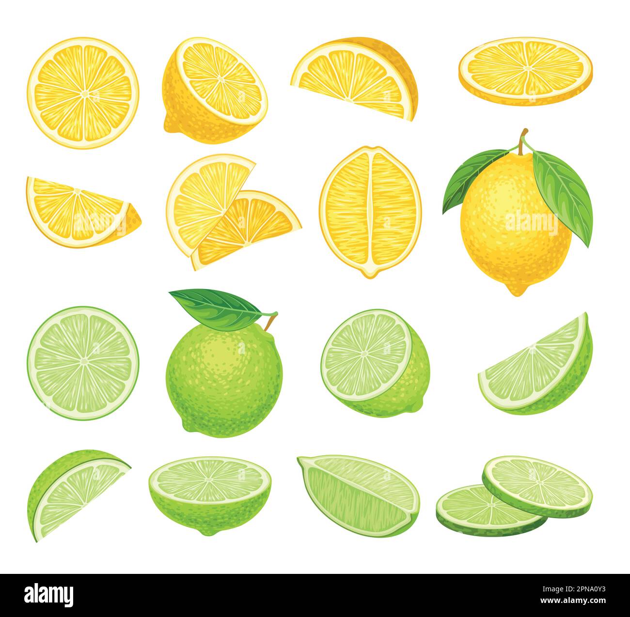 Cartoon lime limes slices hi-res stock photography and images - Alamy