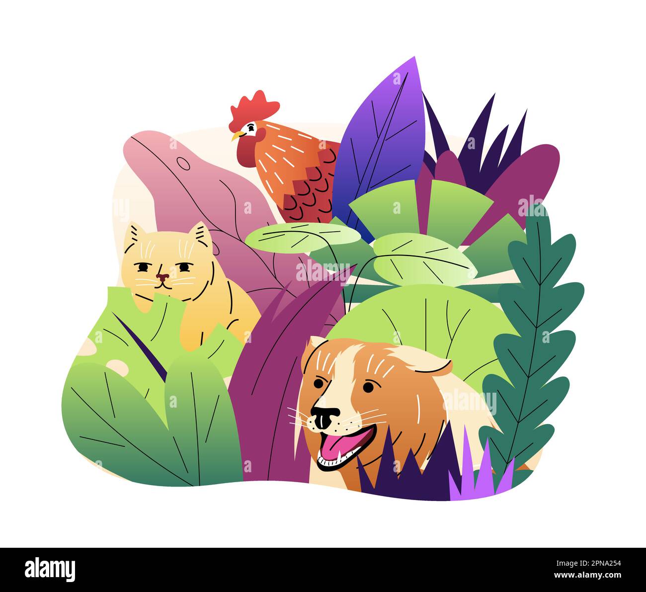 Suspicious rooster hi-res stock photography and images - Alamy