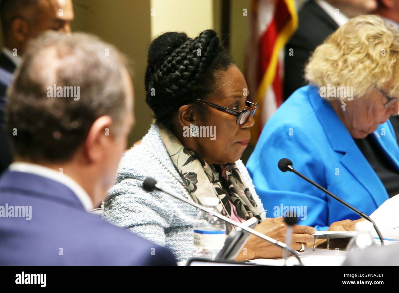 NEW YORK, NY - April 17: The House Judiciary Committee holds a field ...