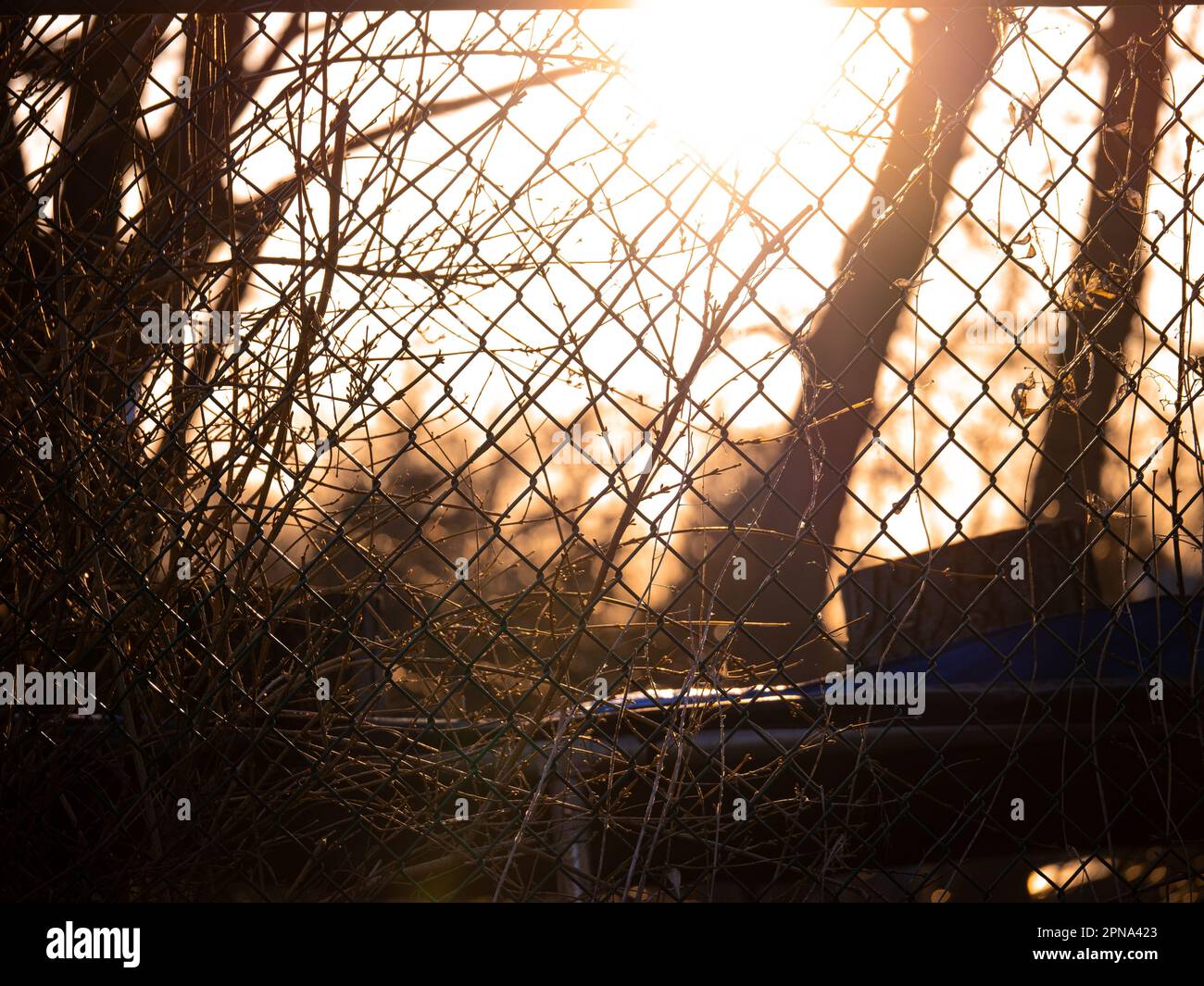 Sunlight through fence Stock Photo - Alamy