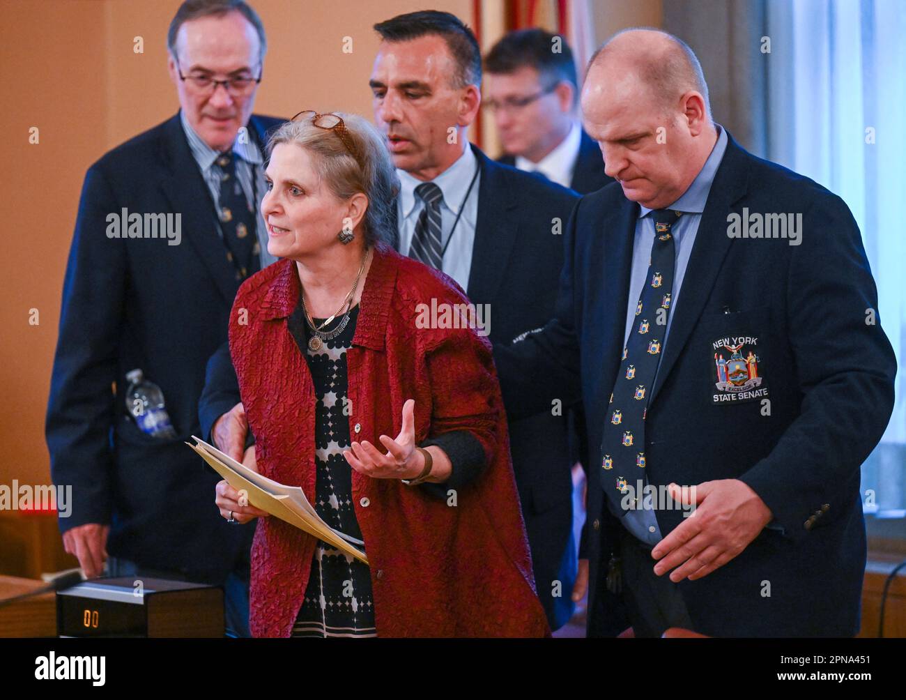 New York state Senate Sargent at arms surround Elena Sassower who ...