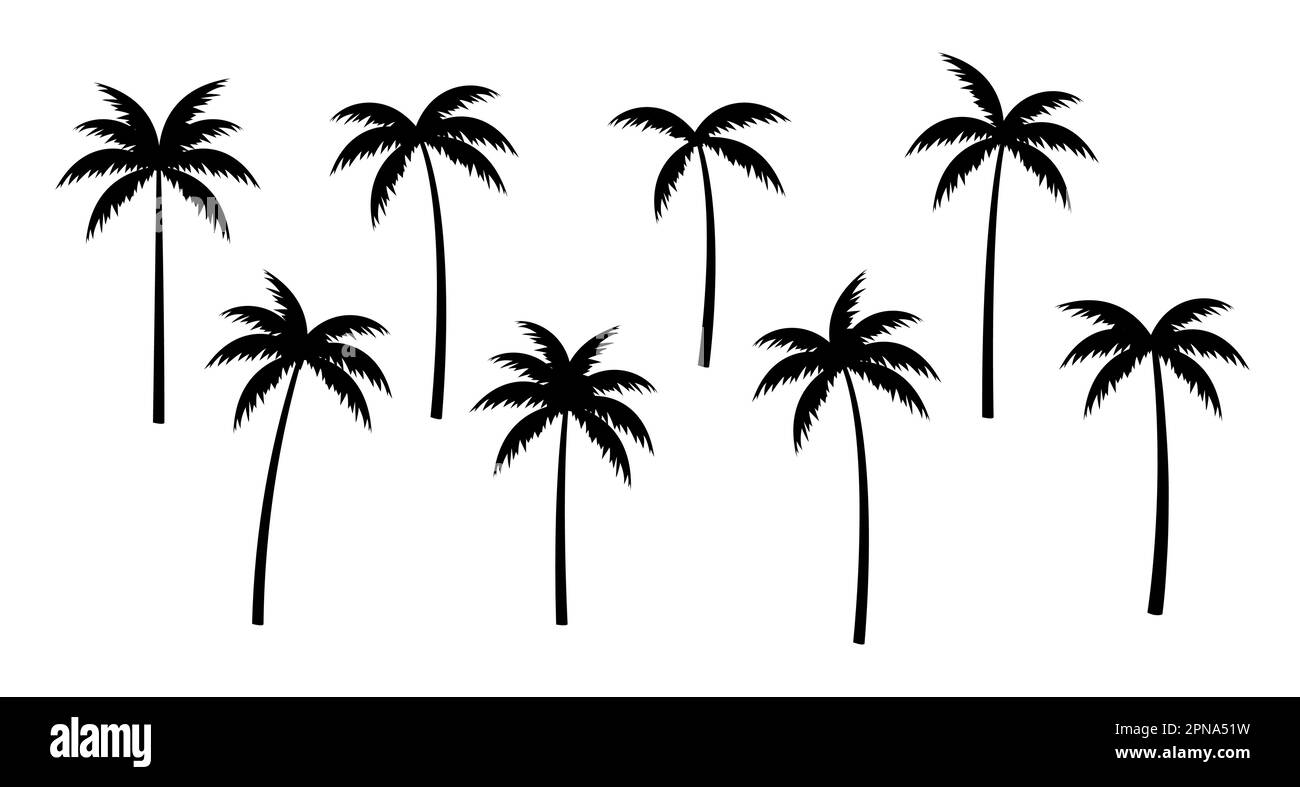 Palm tree vector silhouette coconut icon. Tropic palm tree miami black ...