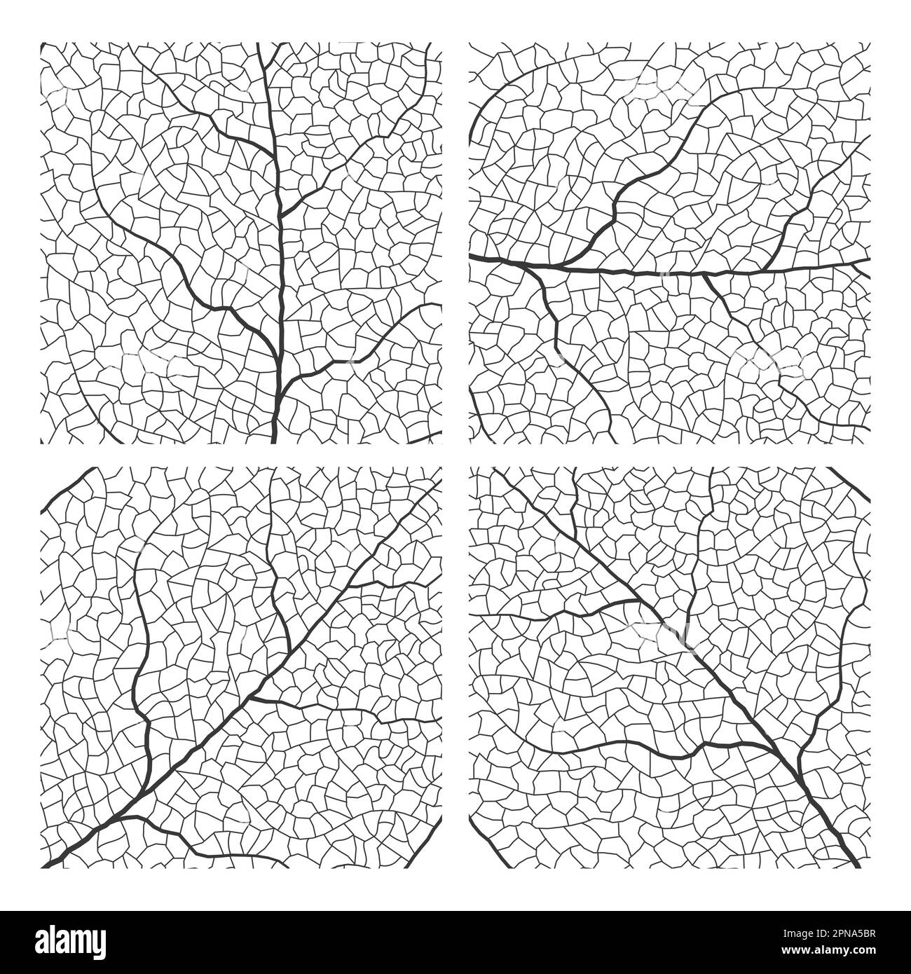 Leaf vein vector texture isolated transparent autumn black detail ...