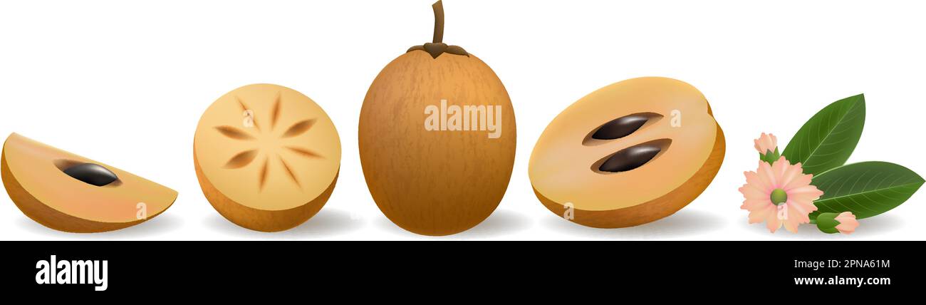 Chiku Elements In Realistic Style Stock Vector Image And Art Alamy