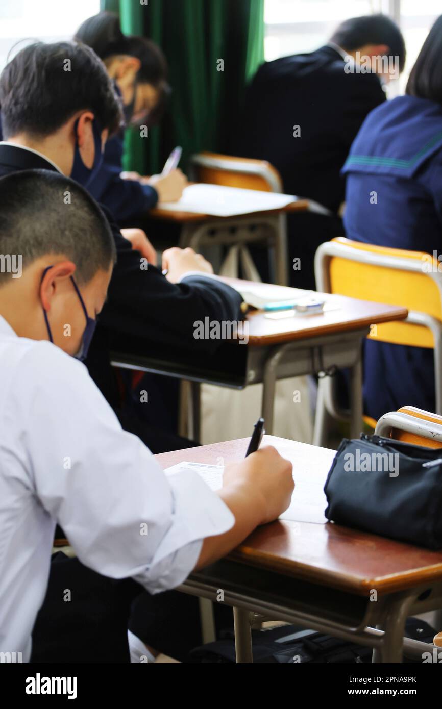 The nationwide academic achievement / learning situation survey ...
