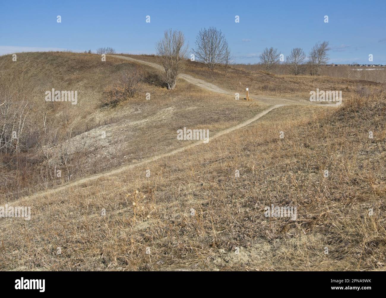 Nose Hill Park Calgary Alberta Stock Photo - Alamy