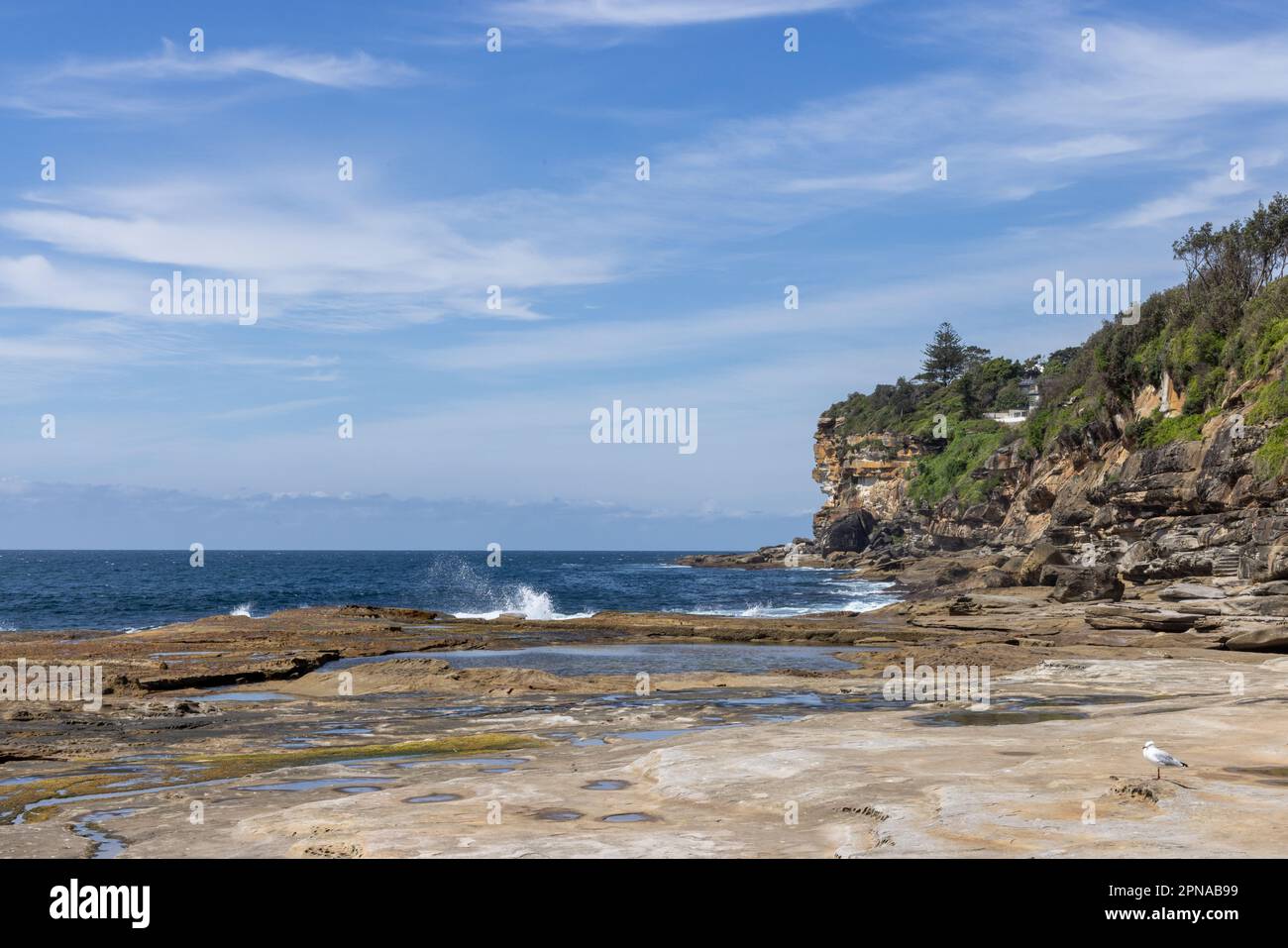 Dee Why Beach rock pools Stock Photo - Alamy