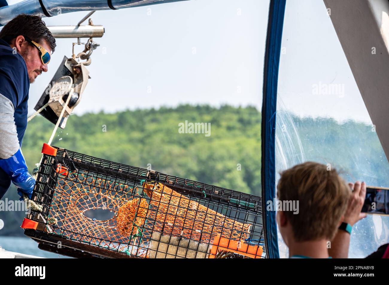 Acadia, Maine, USA - 8.2021 - Bar Harbor Wale Watch Company employee ...