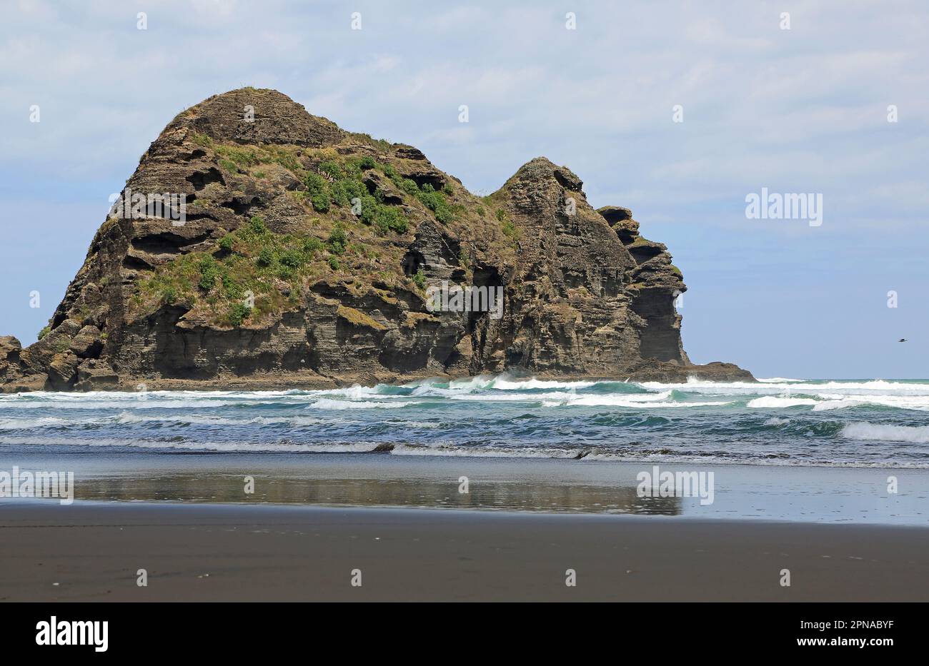 Volcanic cliffs on Piha beach - New Zealand Stock Photo - Alamy