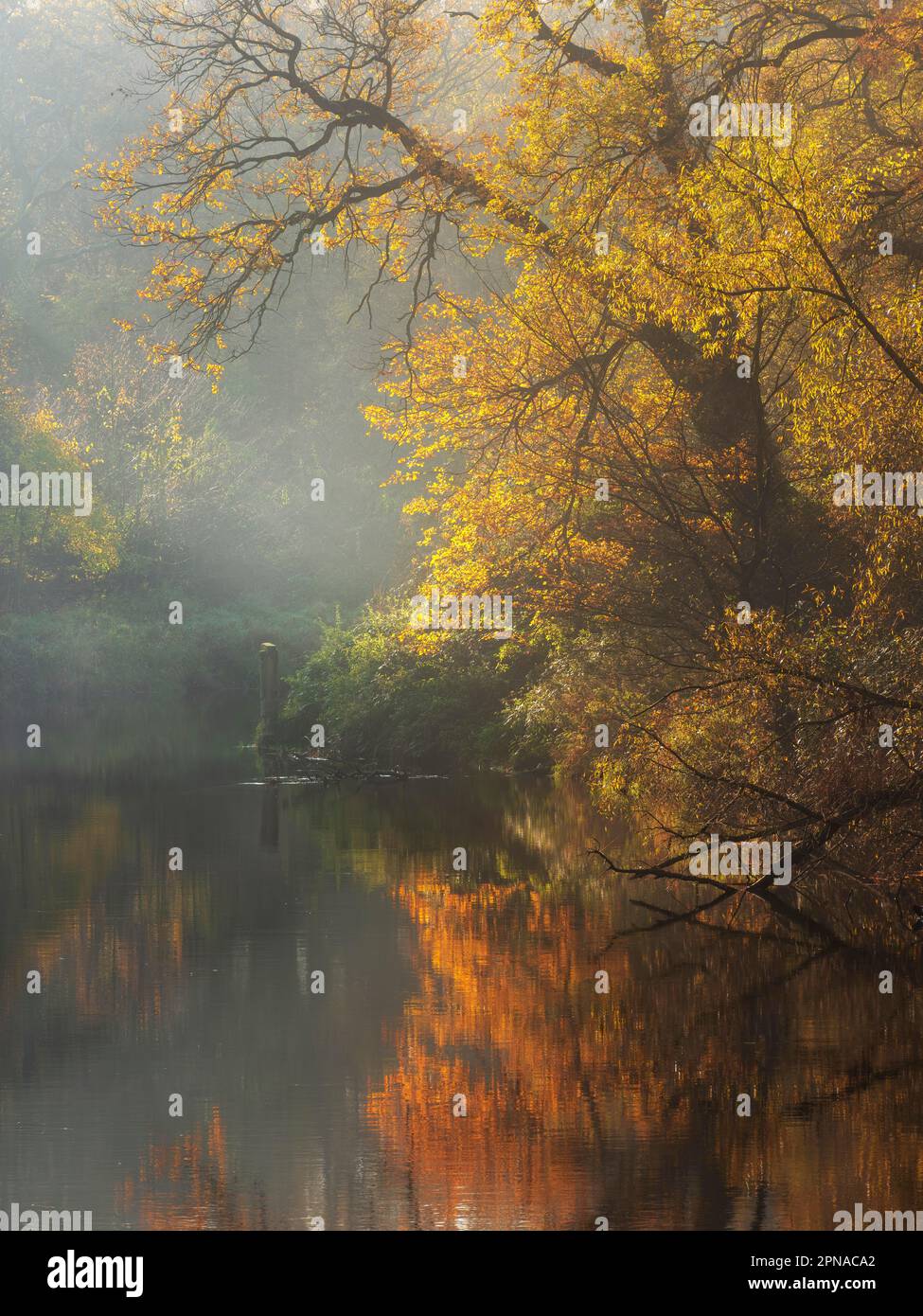 Autumn on the Mulde River, Water Reflection, Dessau-Woerlitz Garden ...