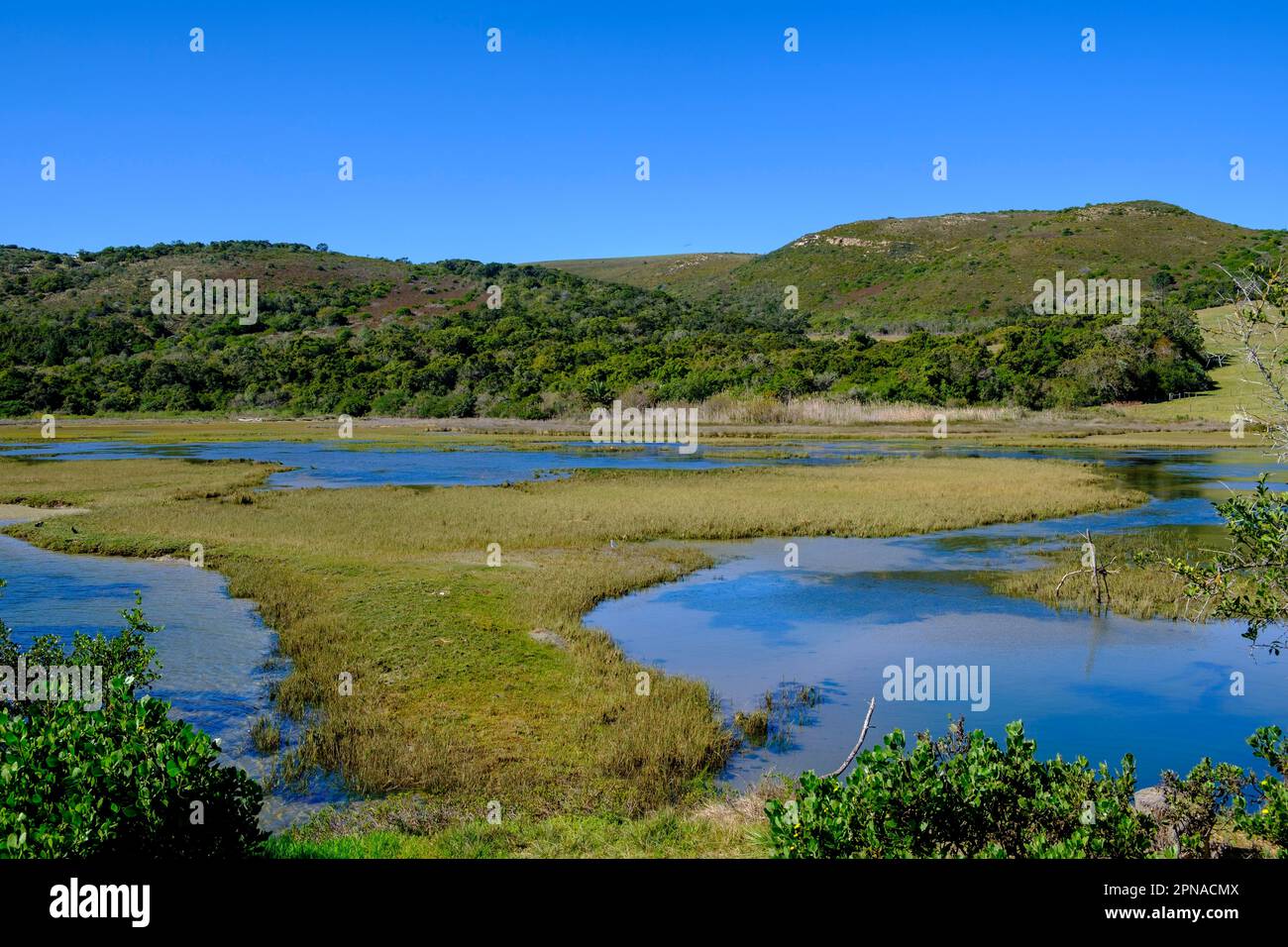 Inner Lagoon, Salt Marshes, Woodbourne trust, Nature Reserve, Knysna ...