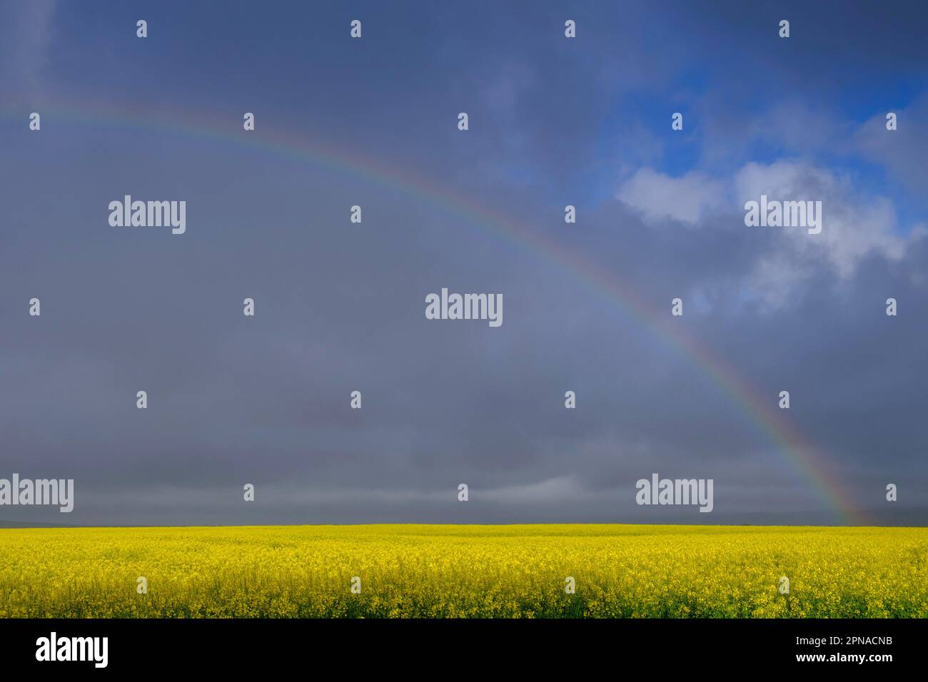 Rainbow near Heidelberg, Garden Route, Western Cape, South Africa Stock ...