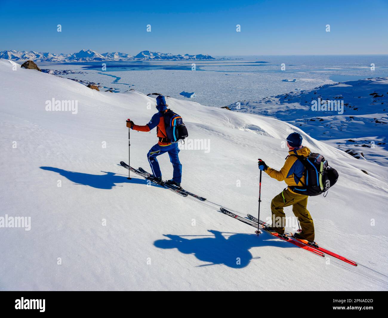 Ski mountaineer on ski tour, back pack ice, Tasiilaq, Ammassalik Island ...