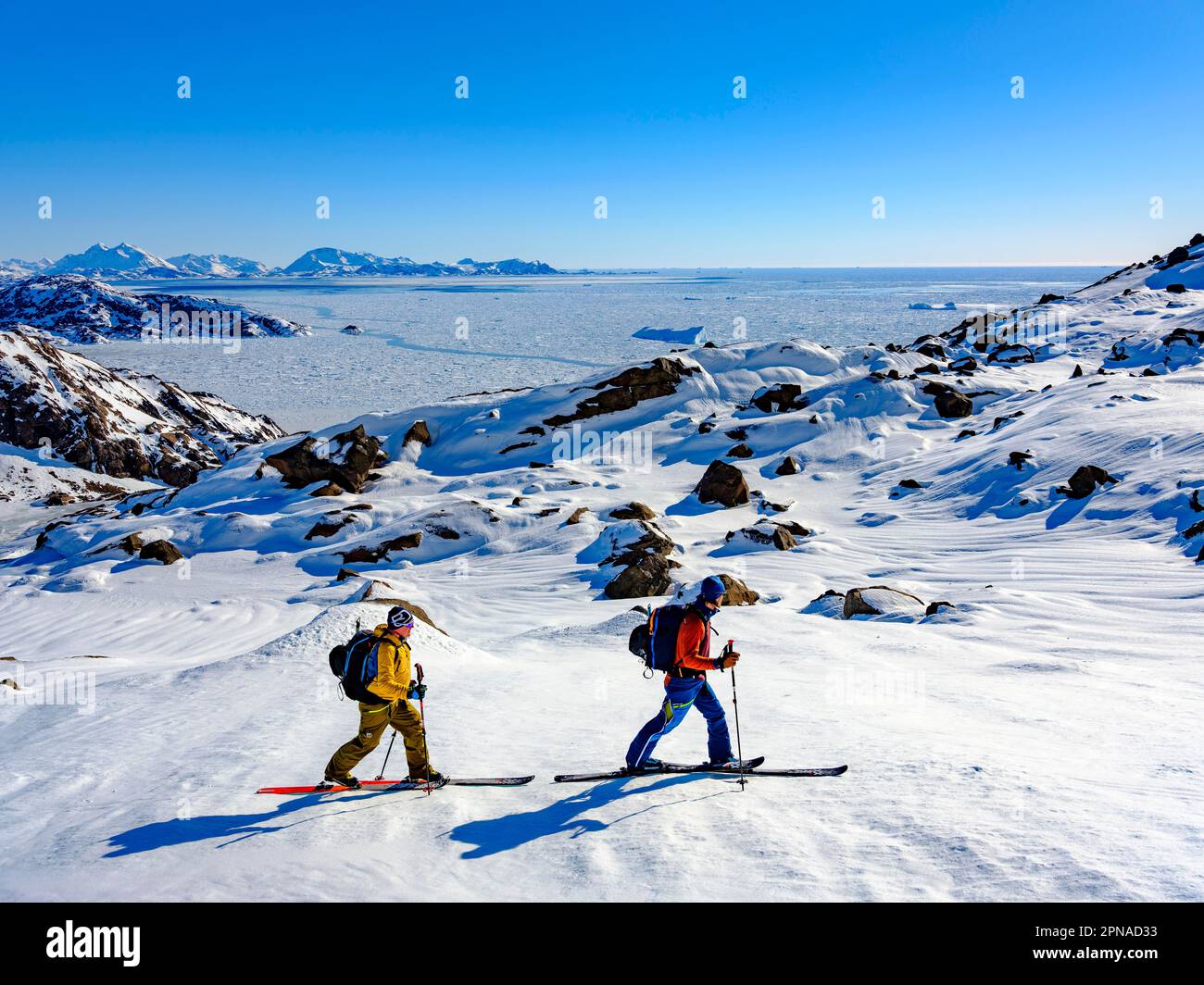 Ski mountaineer on ski tour, back pack ice, Tasiilaq, Ammassalik Island ...