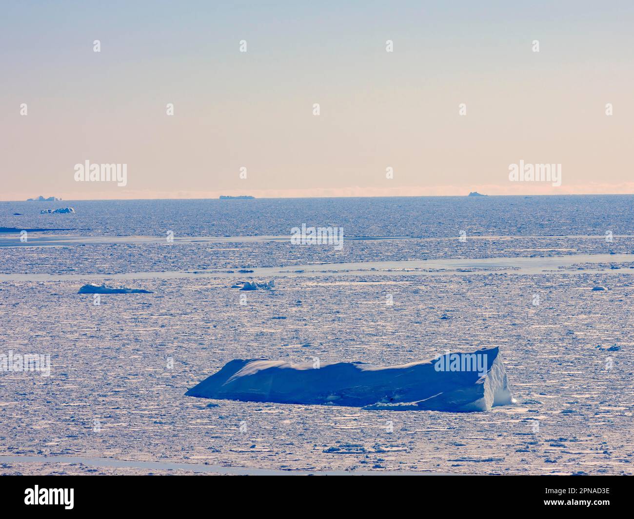 Iceberg frozen in pack ice, Tasiilaq, Ammassalik Island, Kommuneqarfik ...