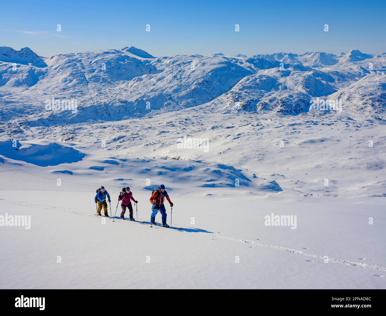 Ski mountaineer on ski tour, Tasiilaq, Ammassalik Island, Kommuneqarfik ...