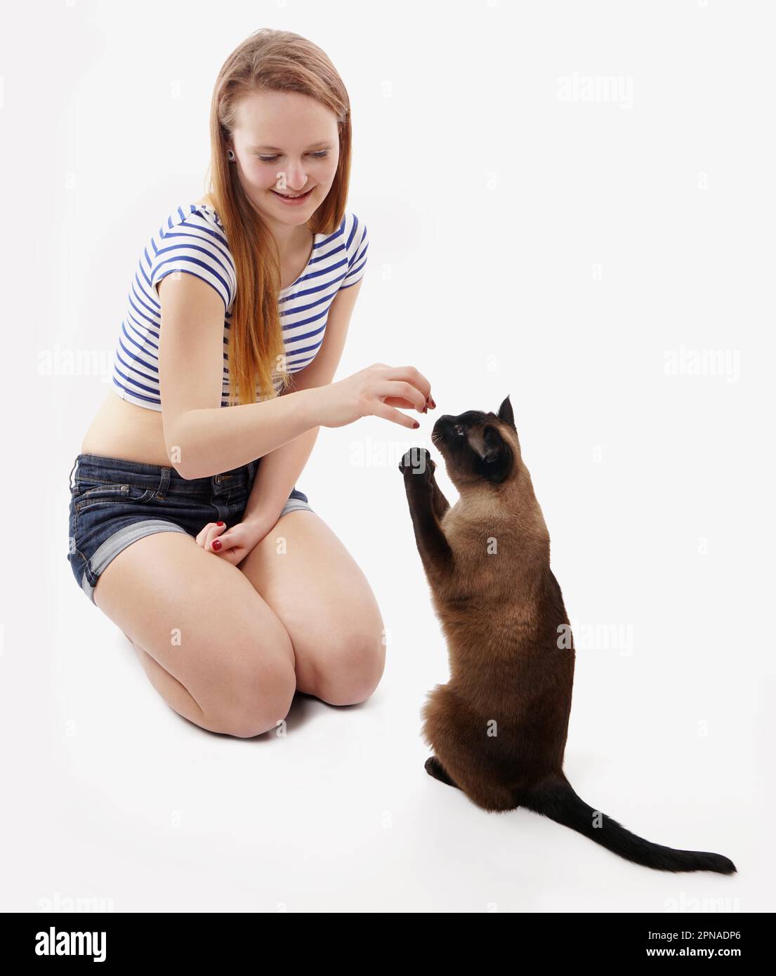 Girl feeding a cat hi-res stock photography and images - Alamy