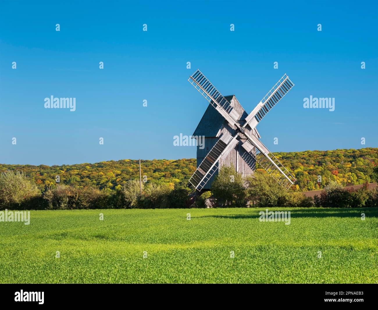 The windmill of Krippendorf on the battlefield of 1806 in autumn, near ...