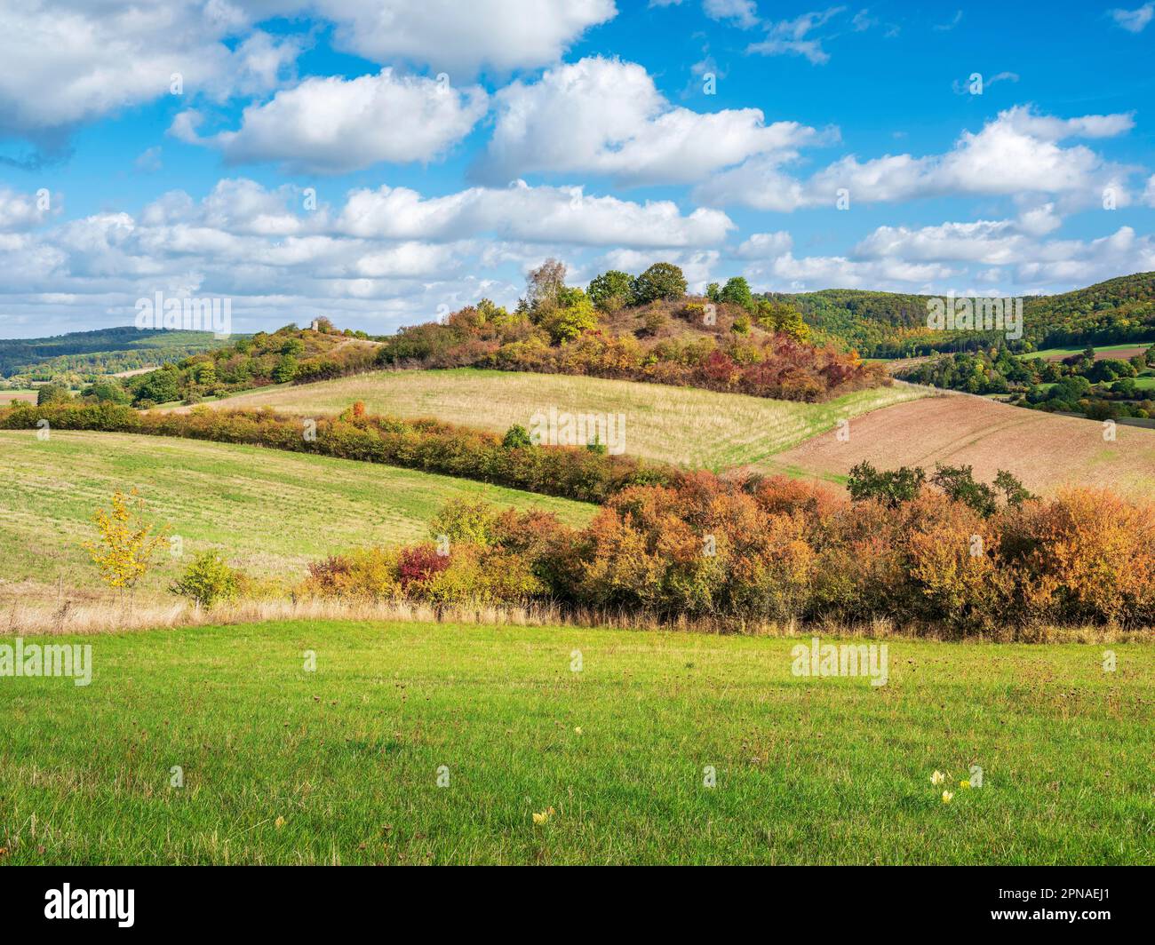 Typical hilly landscape in northern Hesse in autumn, Zierenberger Warte ...