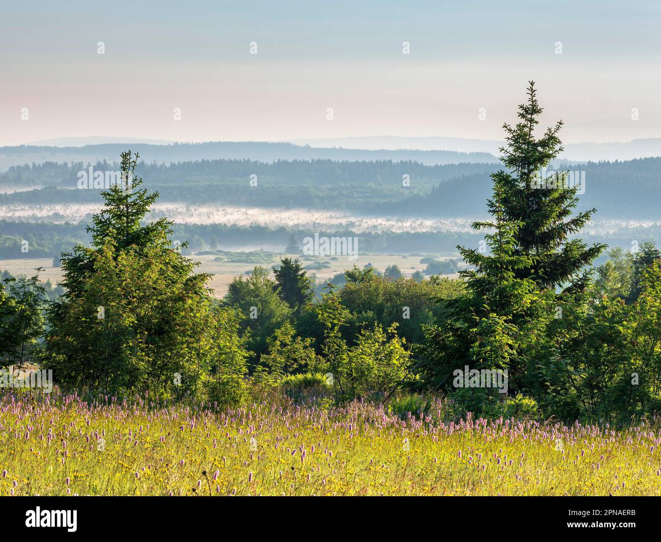 Typical landscape in the Rhoen biosphere reserve, wildflower meadow, in ...